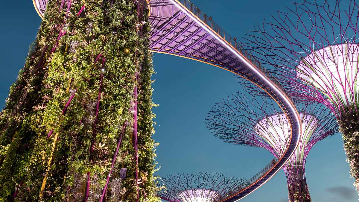 project-amber // nipafx